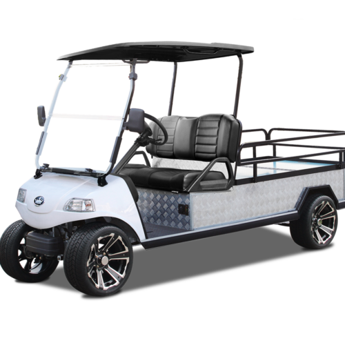 Phoenix Arizona Golf Carts - Golf Cart Dealership